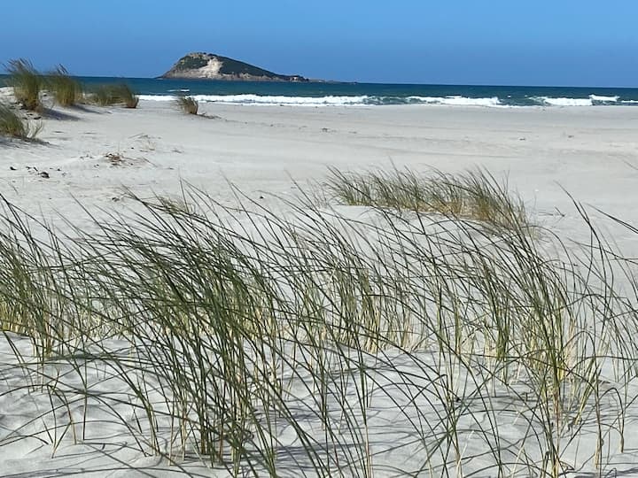 Westwood Beach Haven - Dunedin
