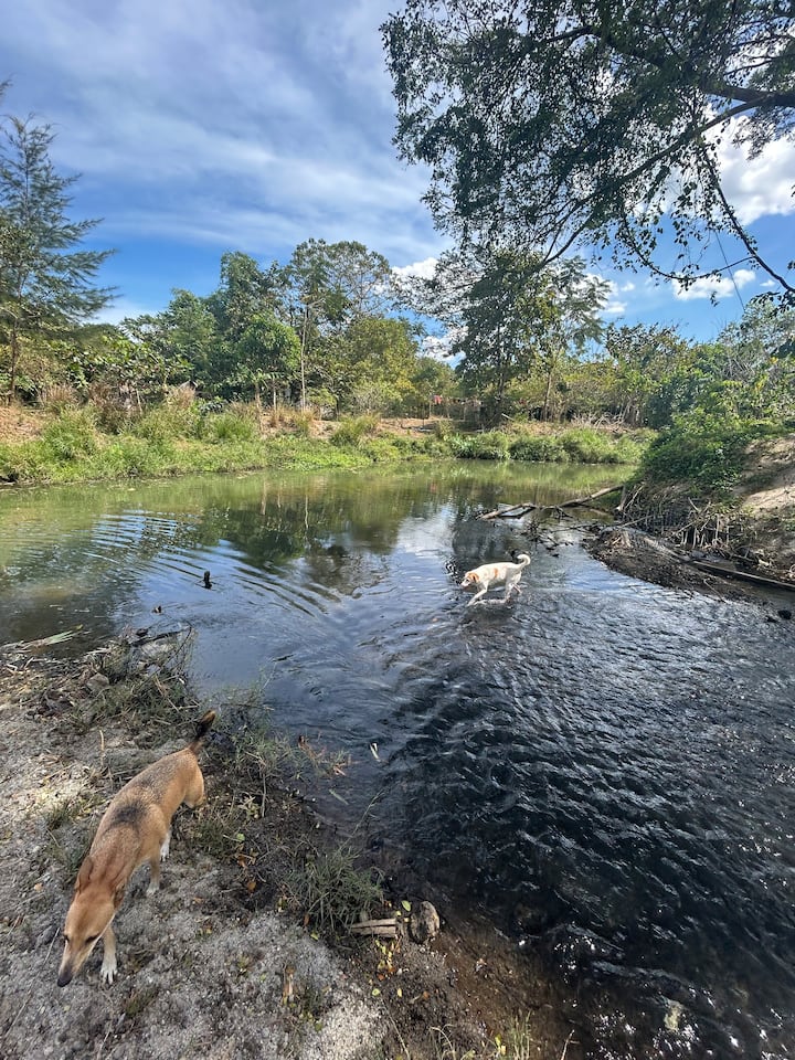 Tekforest - Philippines