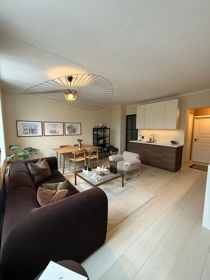 Moderne, Nyoppusset Og Sentral Leilighet I Oslo - Oslo