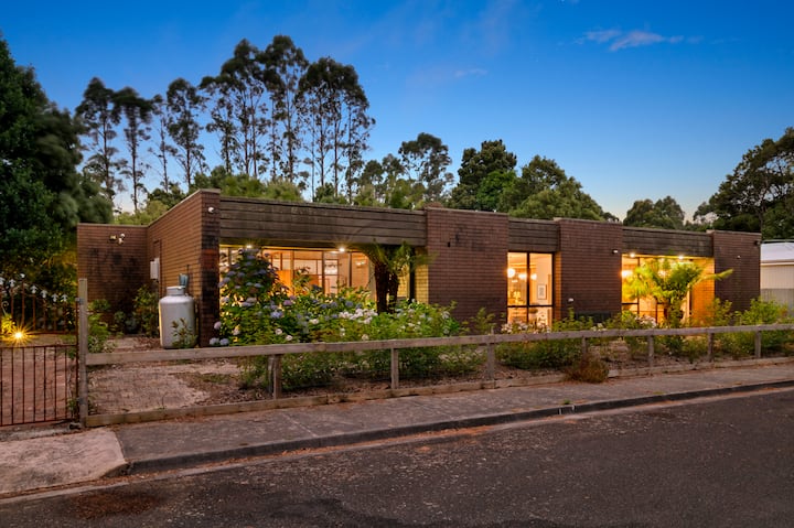 Beech Forest Ex Machina - Apollo Bay