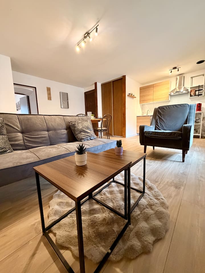 Le Thylleul - Centre-ville, Spacieux, Parking - Albertville