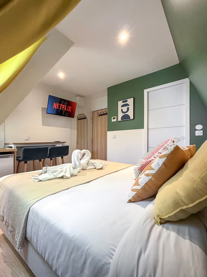 Studio Lumineux Paris - Paris