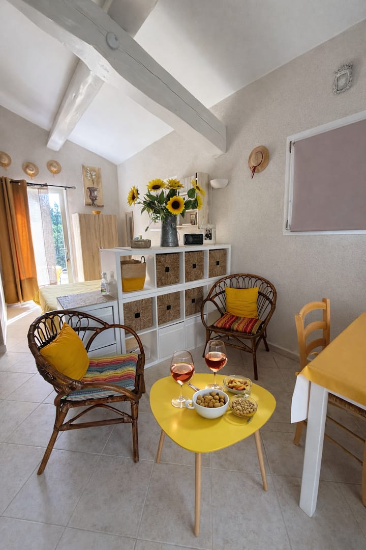 Studio Cosy Avec Terrasse, Piscine Centre St-rémy - Saint-Rémy-de-Provence