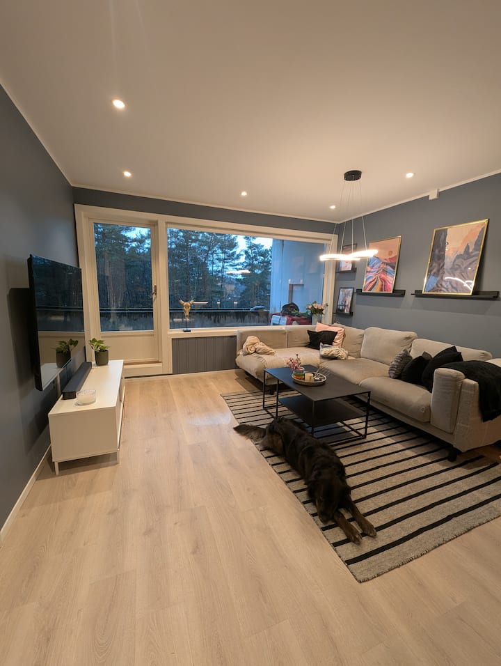 Modern Apartment With All Facilities - Bergen