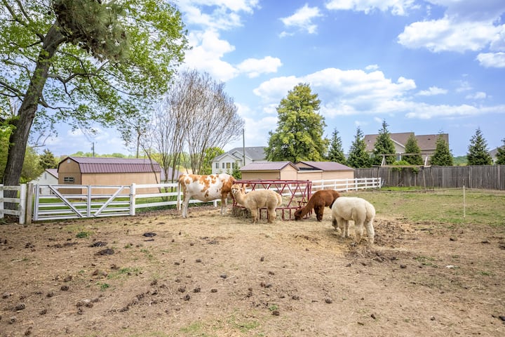 The Whispering Rafters Tiny Home - Bel Air, MD
