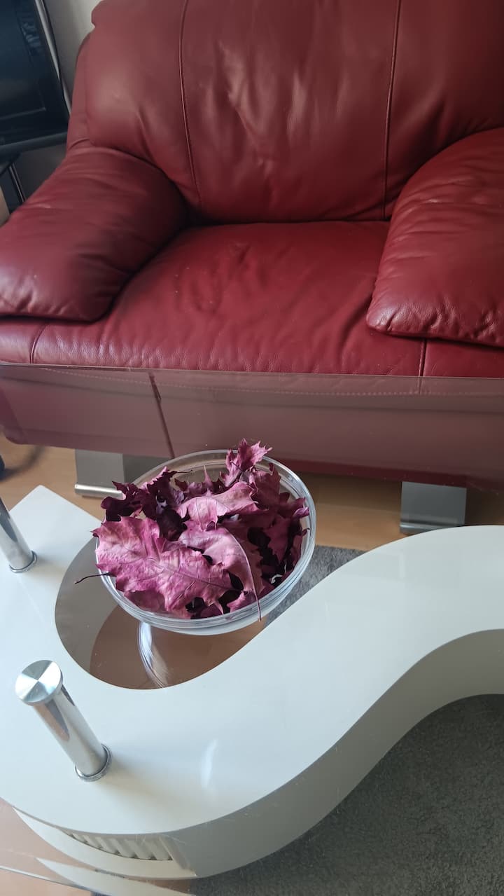 Eine Schöne Unterkunft Im Grünen - Colonia