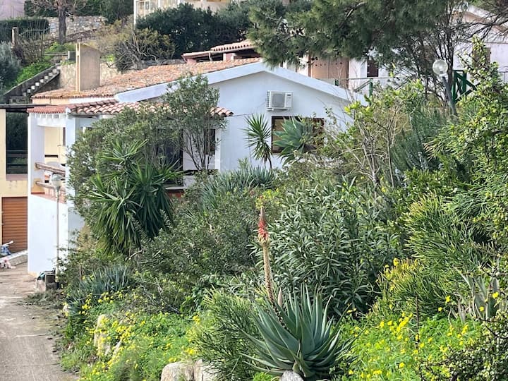 Domus Sardegna Villetta A Costa Rei - Costa Rei