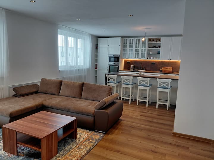 Byt Pro Celou Rodinu U Plzně - Plzeň