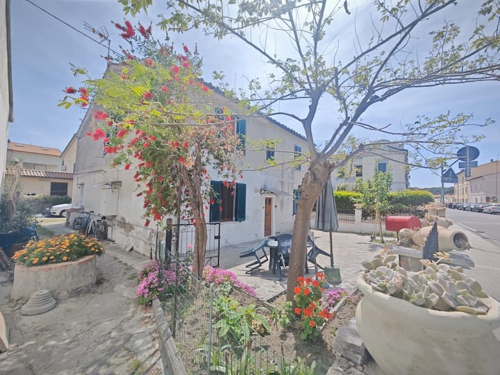 Penny House - Cecina