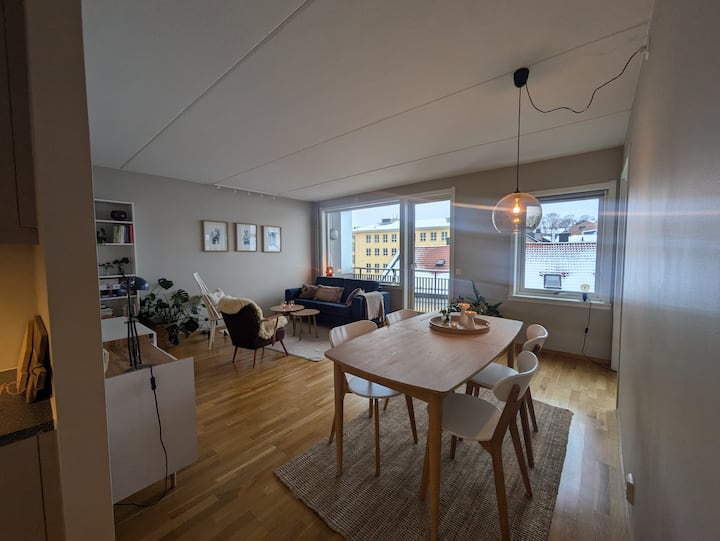 Koselig Leilighet Svært Sentralt I Oslo - Oslo Central Station
