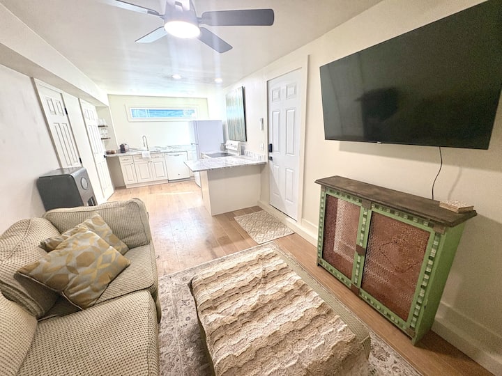 Gorgeous 1/1 On Beach Blvd In Downtown Gulfport - Gulfport, FL