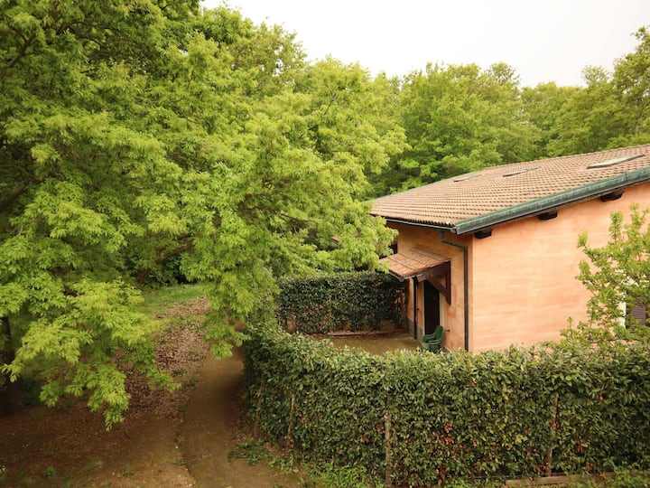 Loft With Enclosed Garden Surrounded By Parkland - Cerveteri