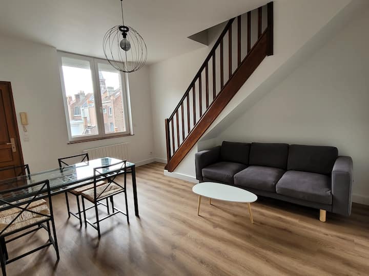 Meublé Spacieux, Confortable 3 Ch Lille Montebello - Lille