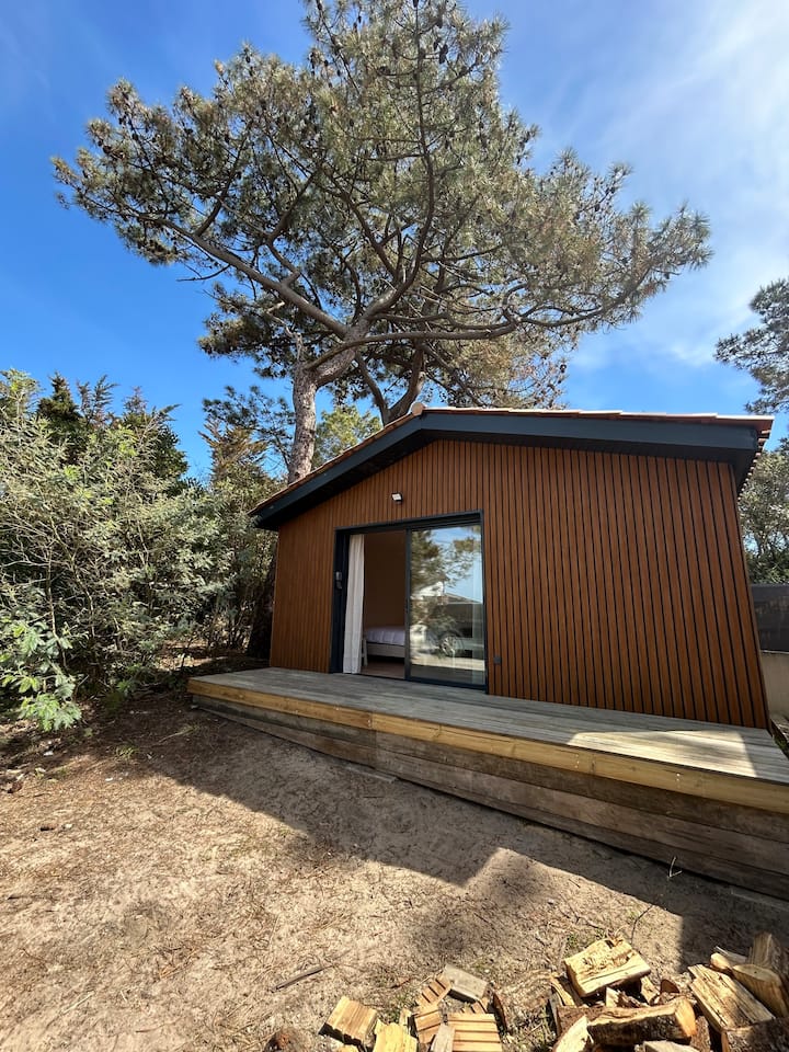 La Cabane De La Plage - Lacanau Océan