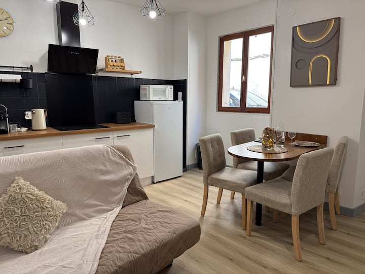 Le Refuge Fuxéen - Centre Historique De Foix - Foix