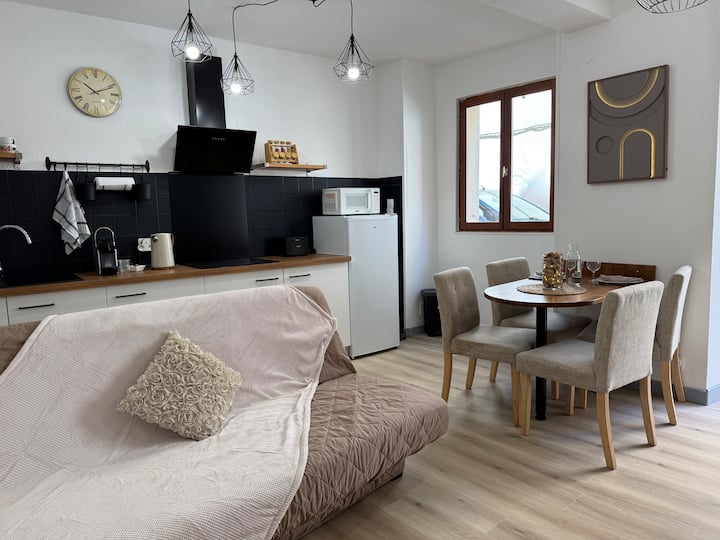 Le Refuge Fuxéen - Centre Historique De Foix - Foix