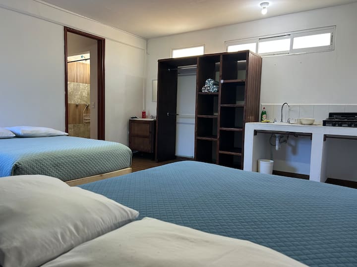 Práctico Metepec Centro Con Estacionamiento - Metepec