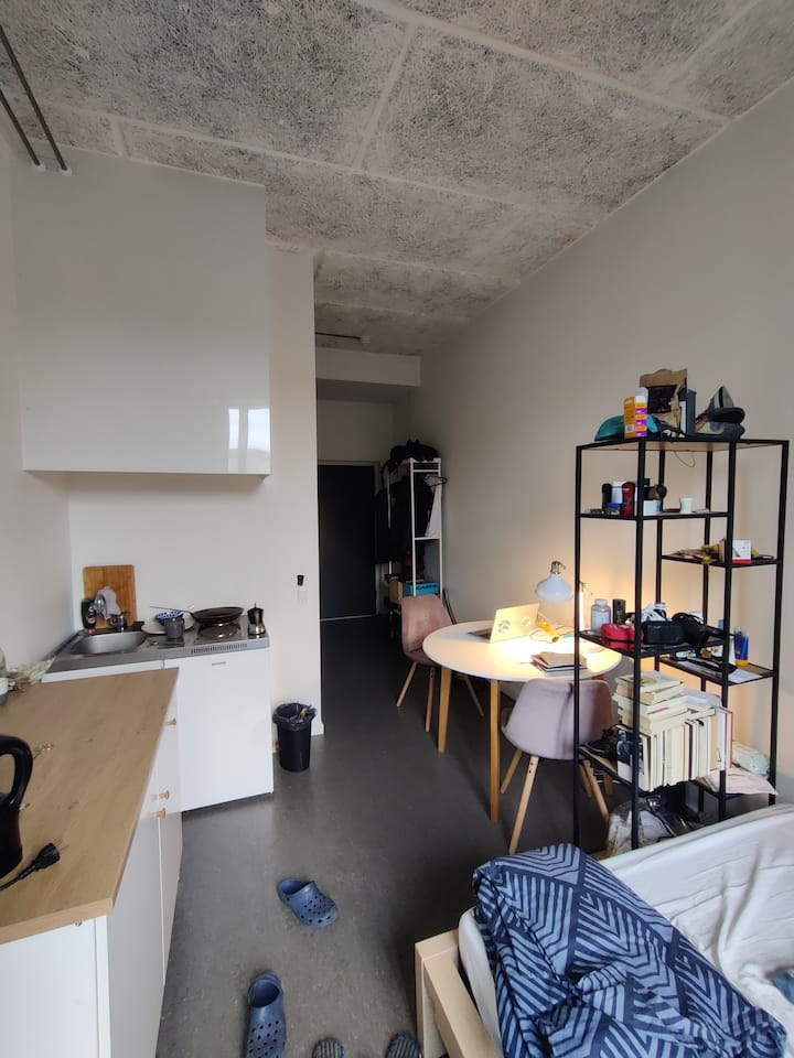 Cozy Studio Apartment In ØSterbro - Copenhagen
