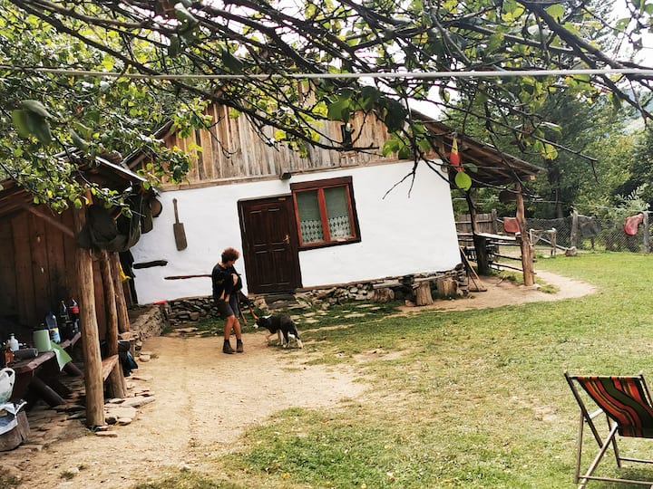 Cabana La Mii De Stele - Brezoi