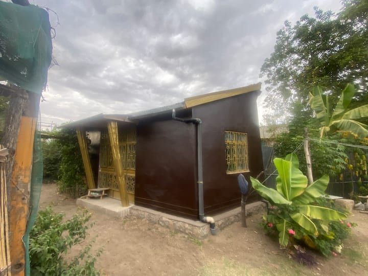 Zion Peace – Vegan Two Bed Apartment - Shashamane