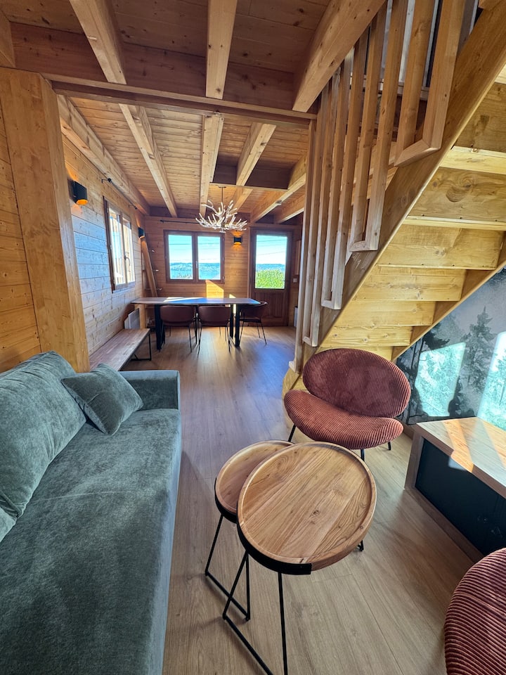 Le Petit Chalet : Vue Sur Le Lac Exceptionnelle - Évian-les-Bains