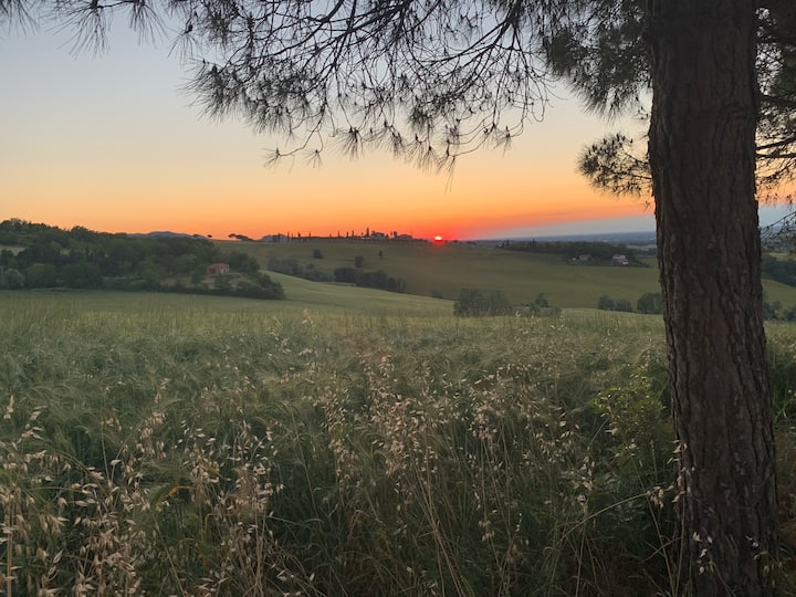 Dozza Getaway With Vineyard Views, Fast Wifi, Ac - Castel San Pietro Terme