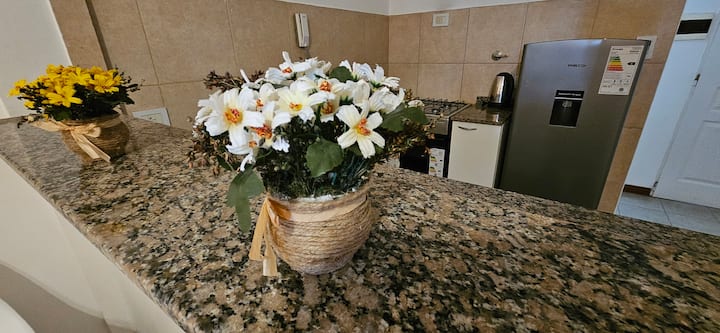 Departamento Céntrico,cochera,wifi,vista Increíble - Corrientes