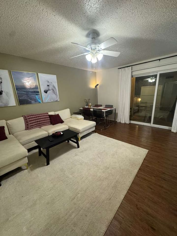 Cozy Like Home First Floor Apartment - Midland, TX