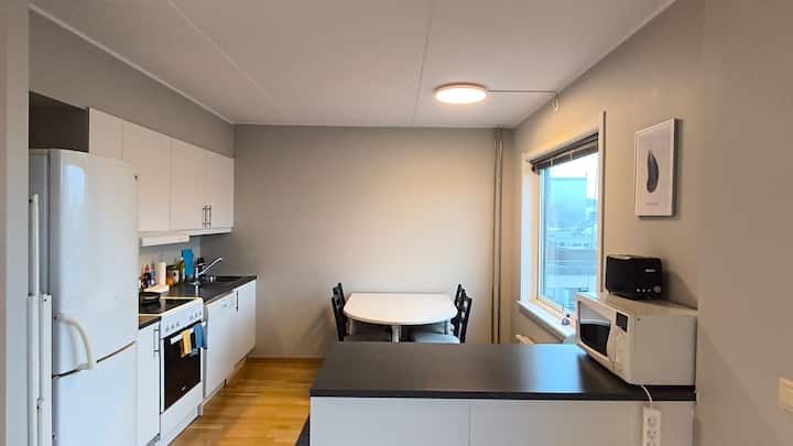 Møller Apartment - Oslo