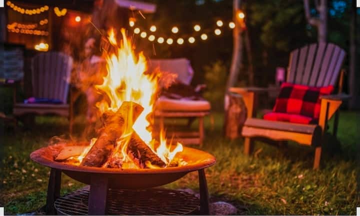 White Pine@acadia National Park - Parque Nacional Acadia