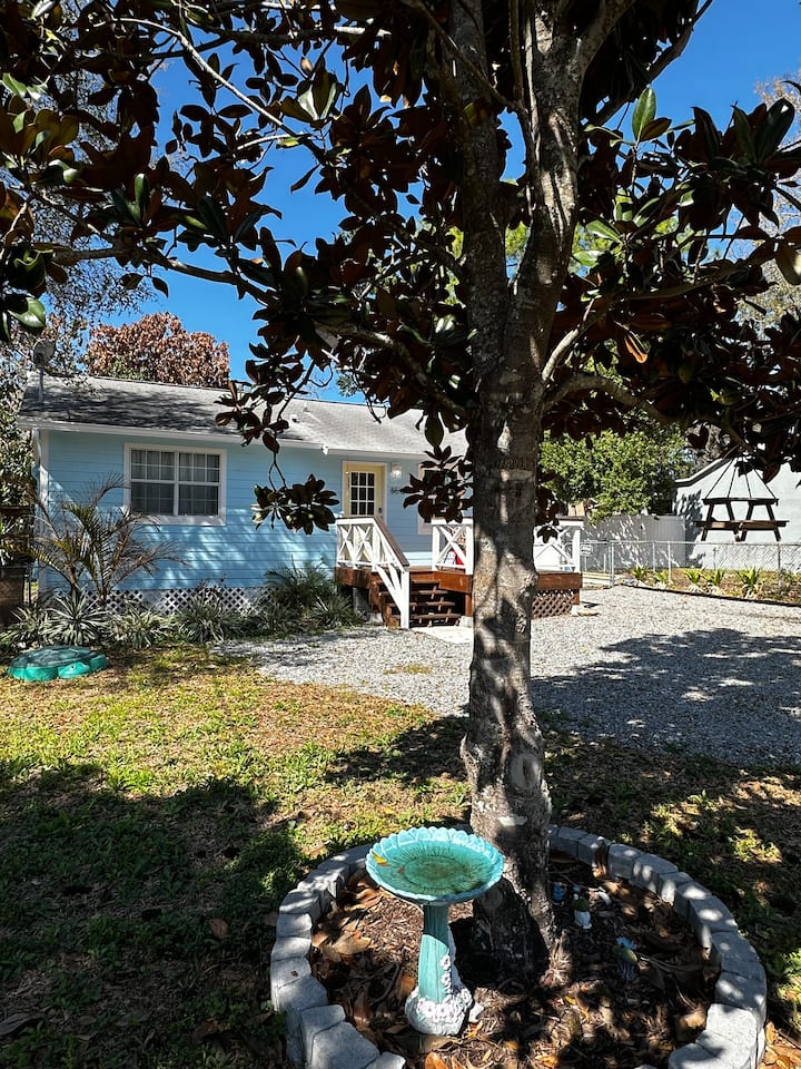Cozy Turtle-huge Yard-1.2 Miles To Busch Gardens - Tampa, FL