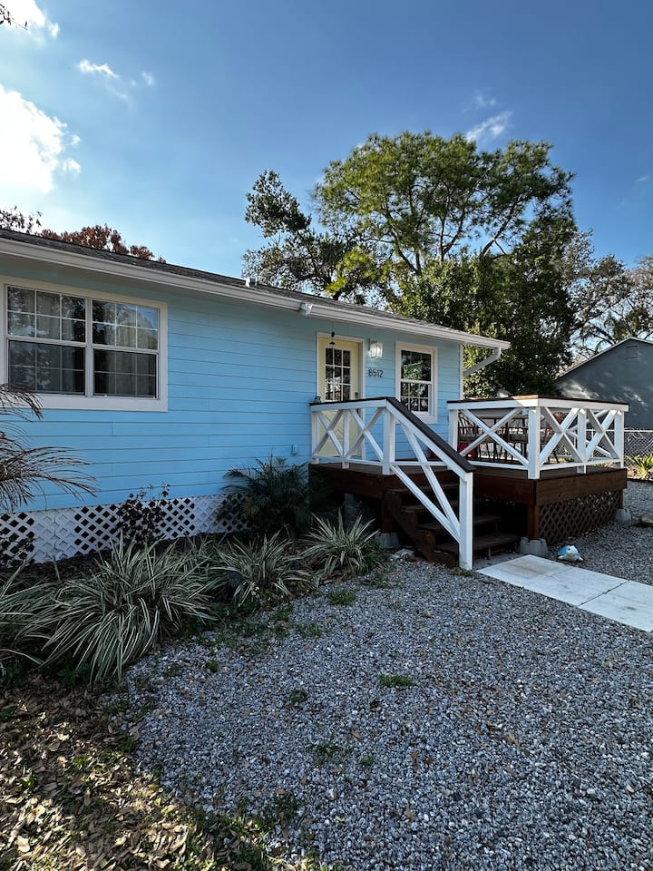 The Cozy Turtle-busch Gardens Escape - Temple Terrace, FL