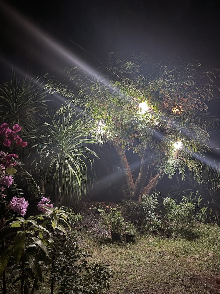 The Cozy Corner - Calapan