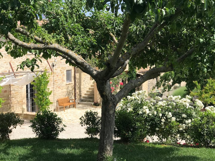 Villa Con Piscina - Italy