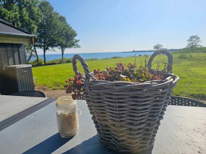 Naldmosehus Anno 2021 - Denmark