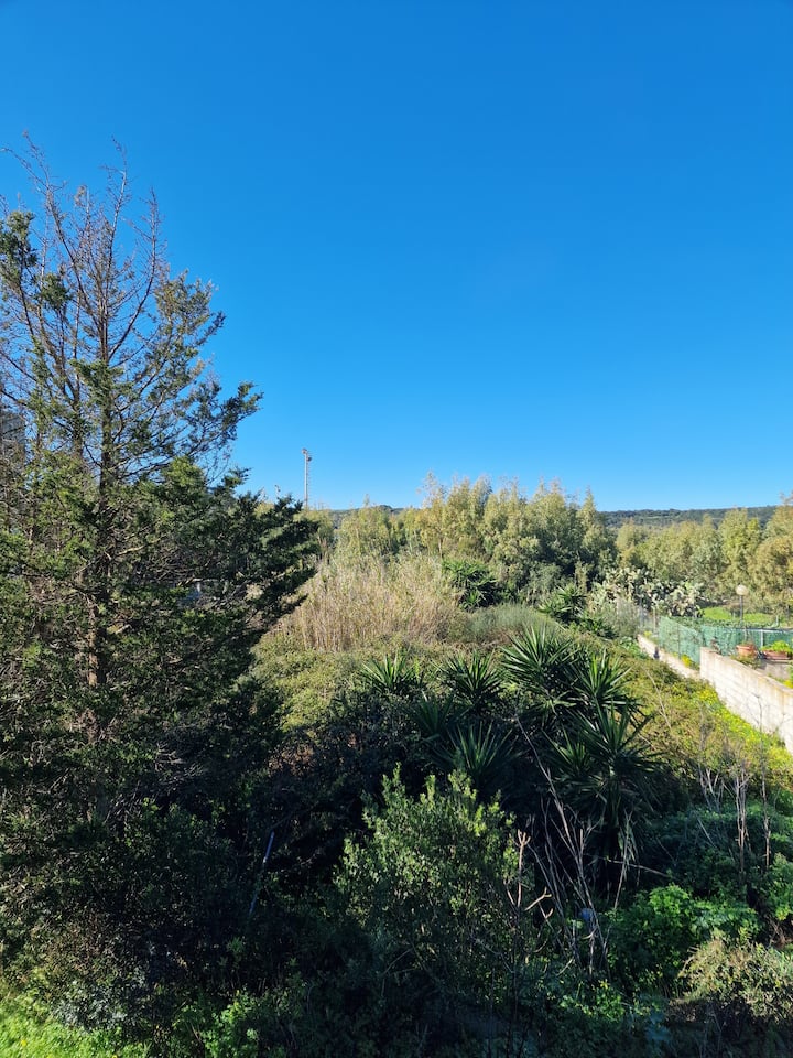 Il Mirto, Interno "Mirto Bianco" - Carbonia