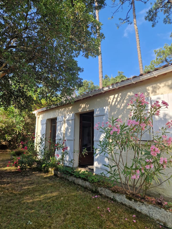 Sous Les Pins,
10 Minutes à Pied De La Plage - Seignosse