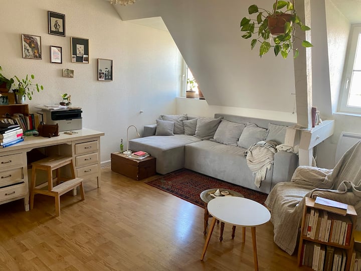 Appartement Familial Et Chaleureux - Lingolsheim