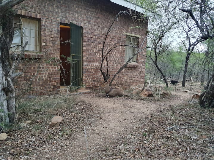 Backpackers At Bush Cabana - Marloth Park
