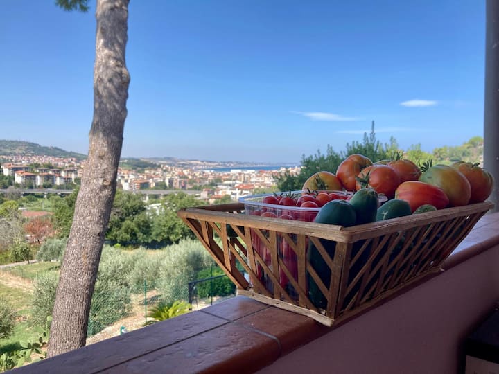 Casolare Il Gabbiano Collina-mare-città - Ancona