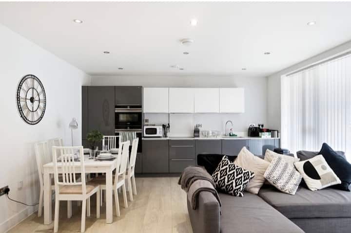 Modern Apartment, Excellent Central Location. - Cambridge