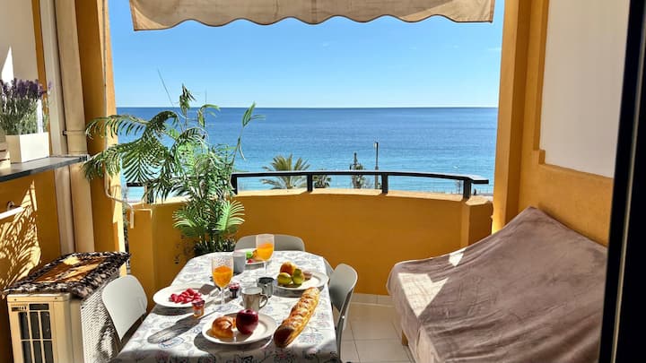 Palme D'azur 553 - Cannes