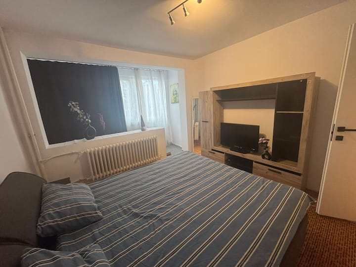Apartamet 2 Camere, Lângă Spitalul Județean. - Timișoara