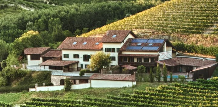 Villa Noceto • Luxury Vineyard Villa - Acqui Terme