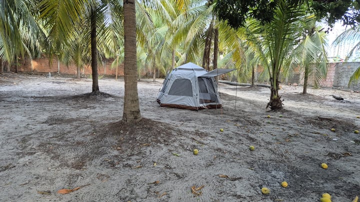 Camping Charmoso Na Praia De Ipioca Em Maceio - Al - Maceió