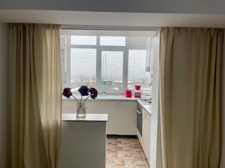 Apartament Cu Struti La Fereastra - Vaslui