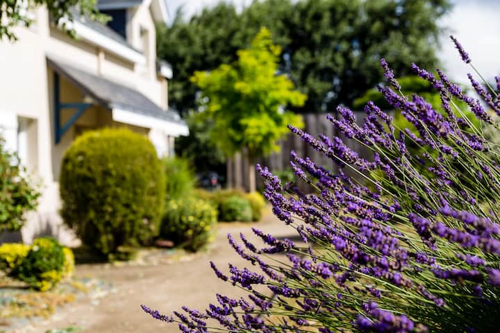 Maison Bord De Mer - Pénestin