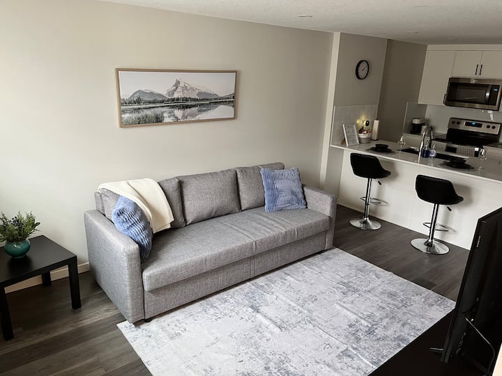 Brand New 1br+ Sofa Bed In Mahogany - Canada