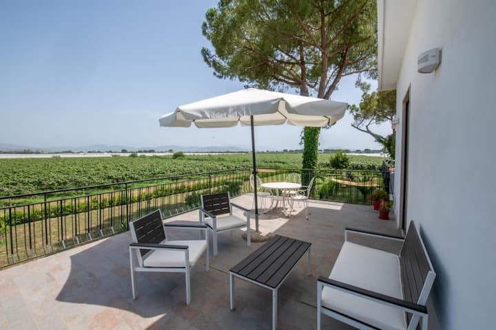 Apt 4 Pax W/pool, A/c, Parking, Terrace, 2bdr, 1ba - Paestum