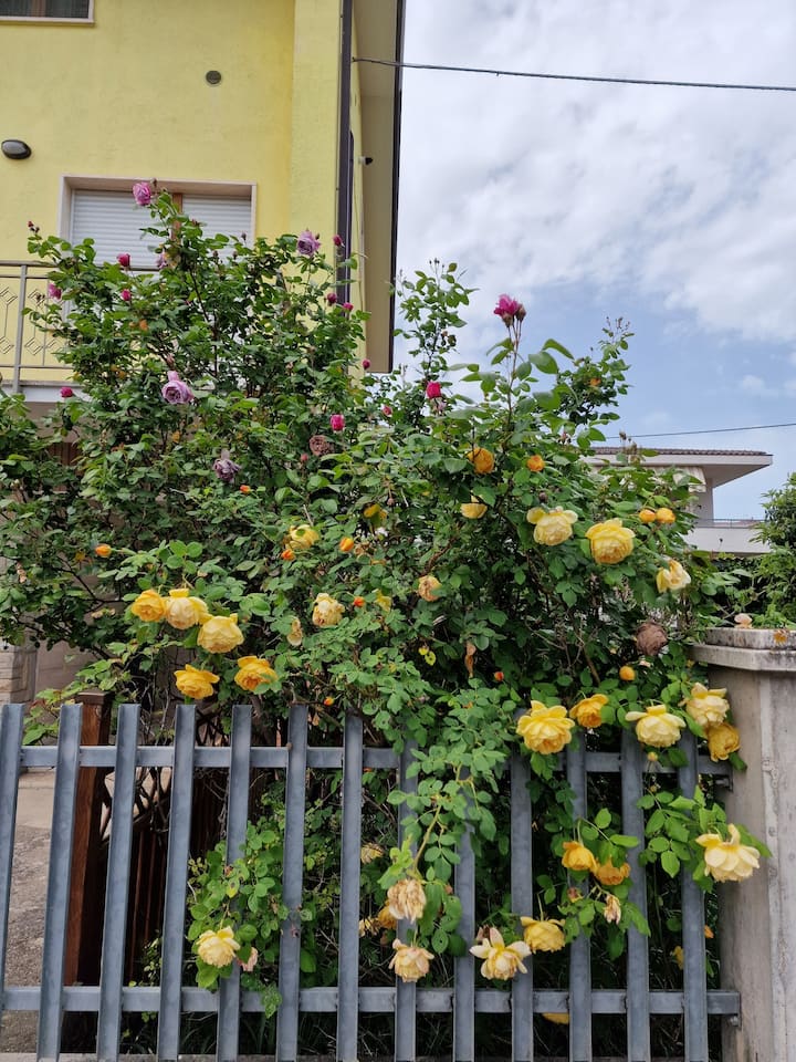 Casa Delle Rose - Sulla Via Per Assisi - Bastia Umbra